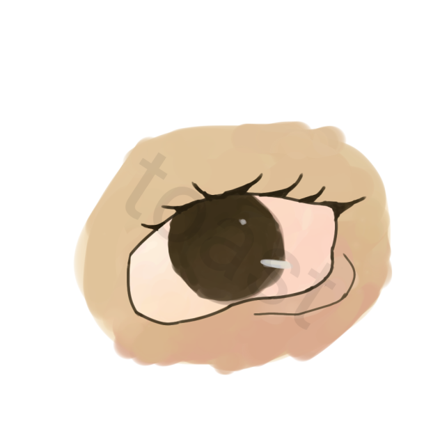 eye - ibisPaint