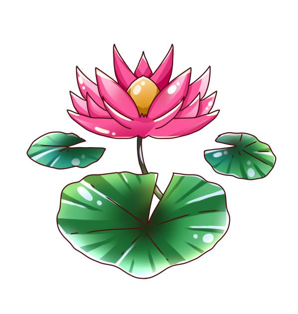 Lotus - ibisPaint