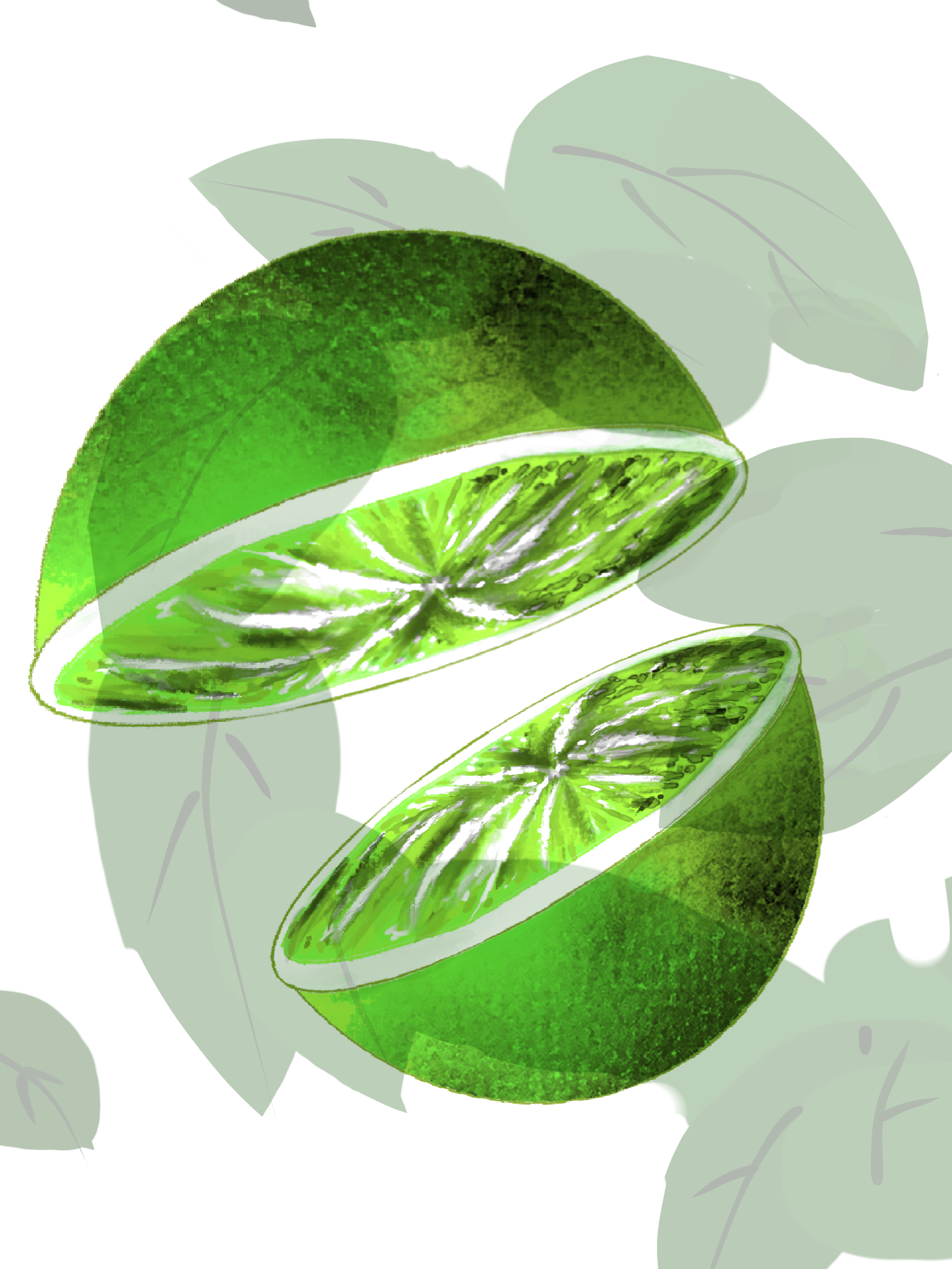 ×Lime× - ibisPaint