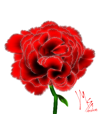 Carnation Flower - ibisPaint