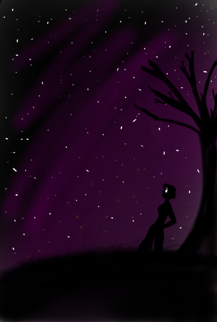 Night flight - ibisPaint