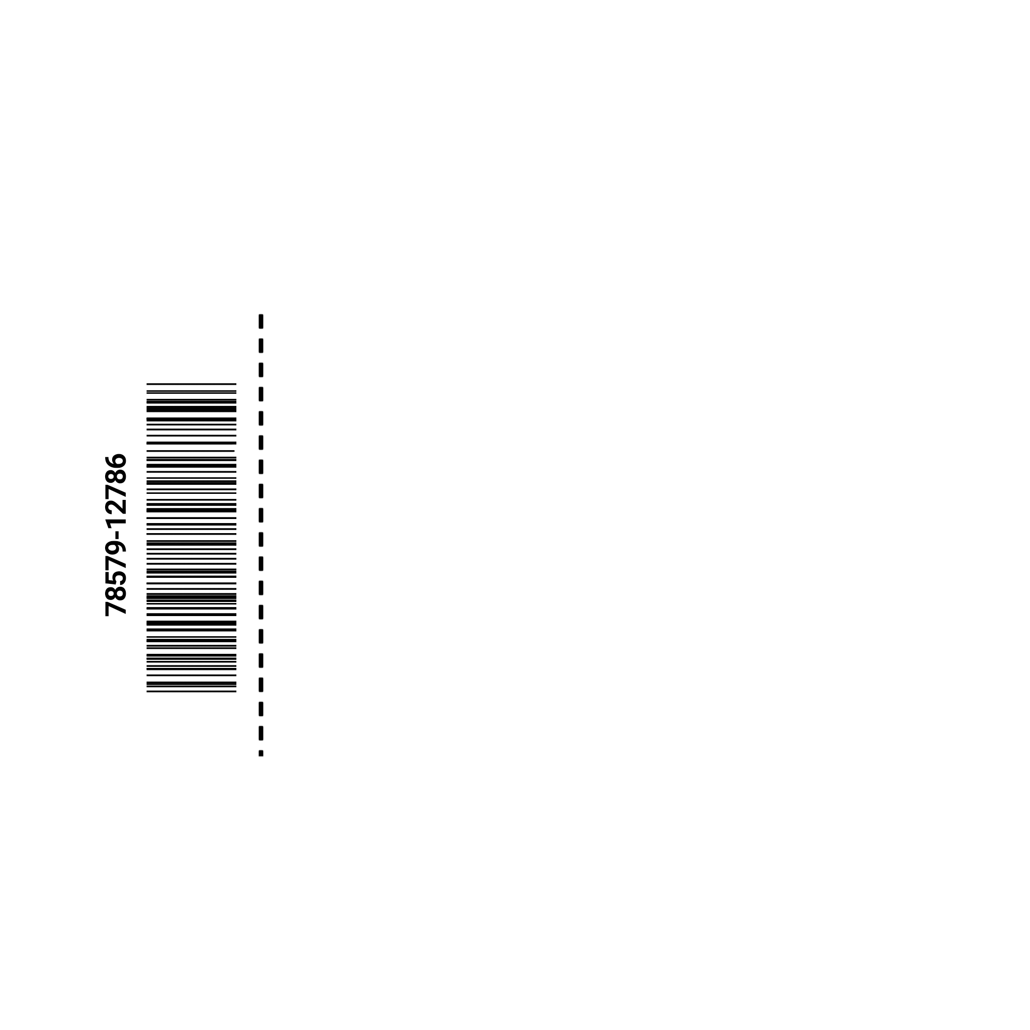 Blank Ticket 4 - ibisPaint