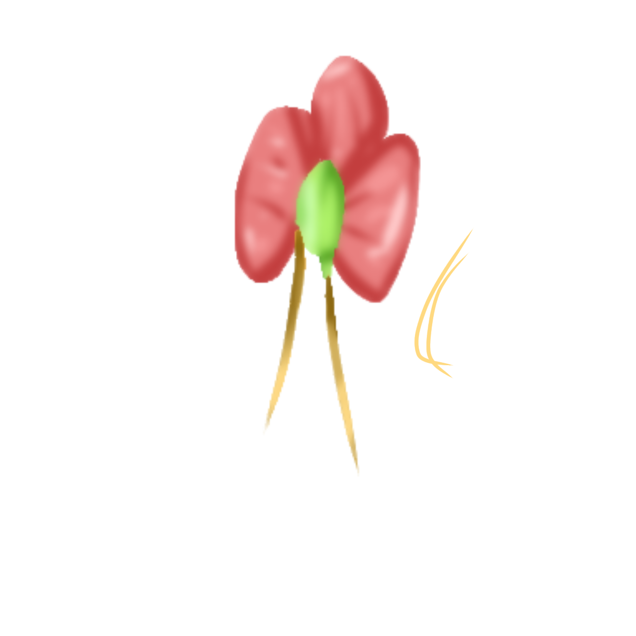 flower - ibisPaint