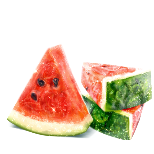 Watermelon Slices - ibisPaint