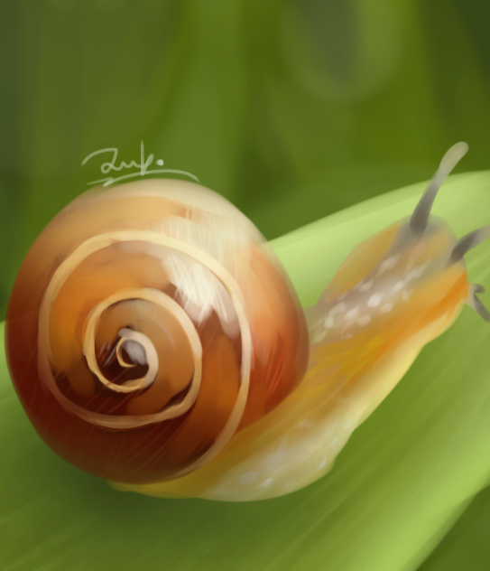 snail - ibisPaint