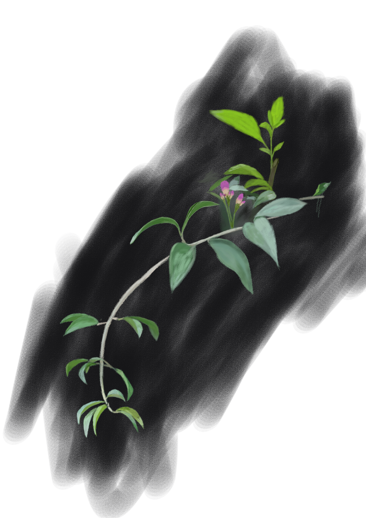 plant - ibisPaint