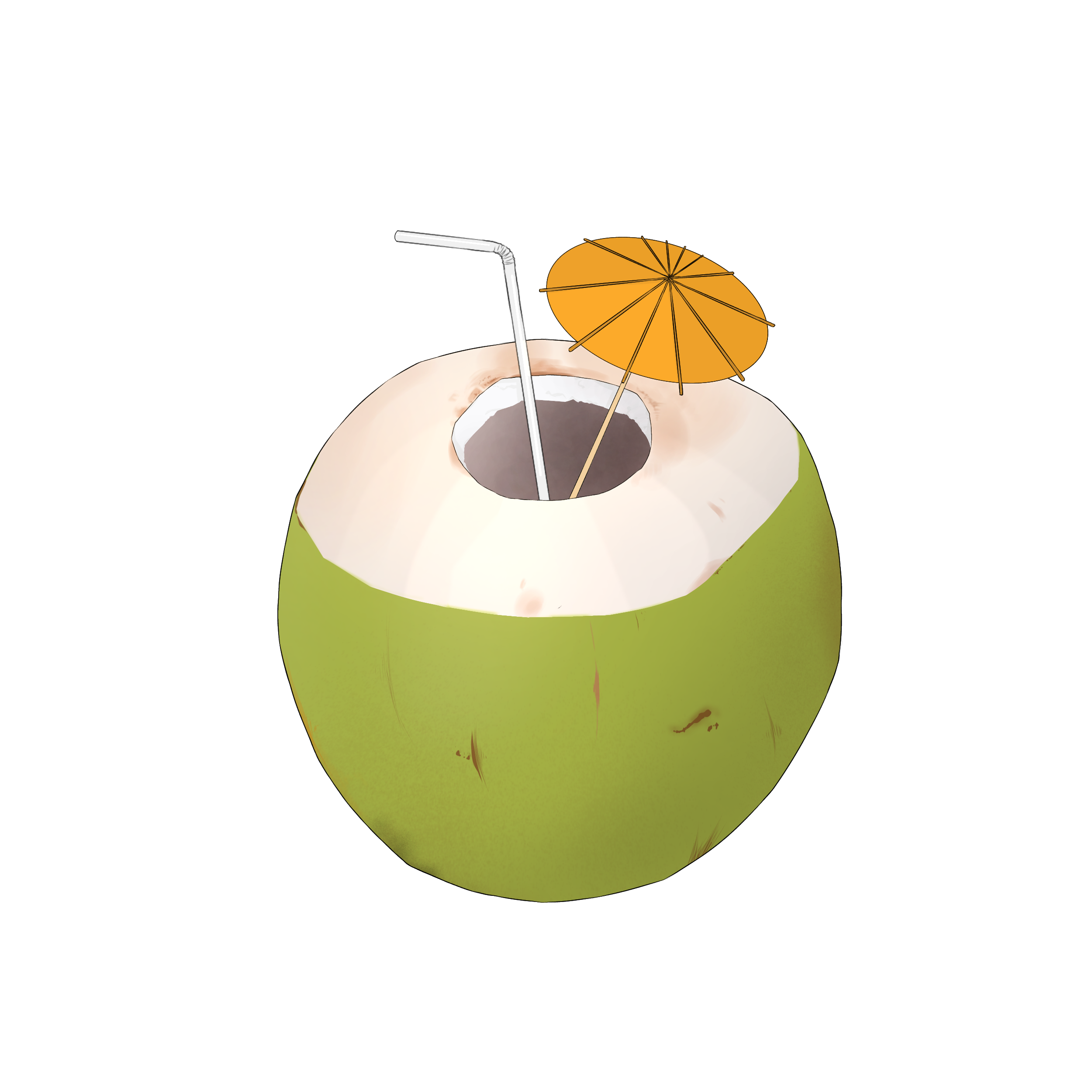 coconut🥥 - ibisPaint
