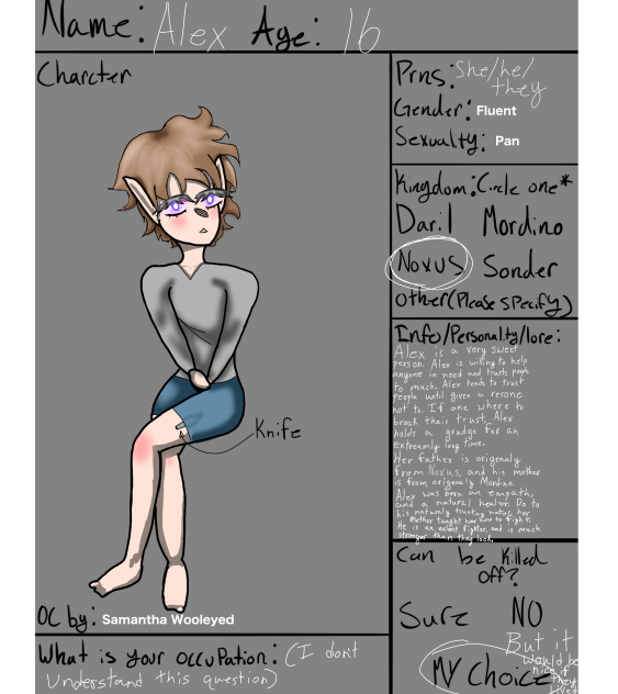 KingsRuin character - ibisPaint