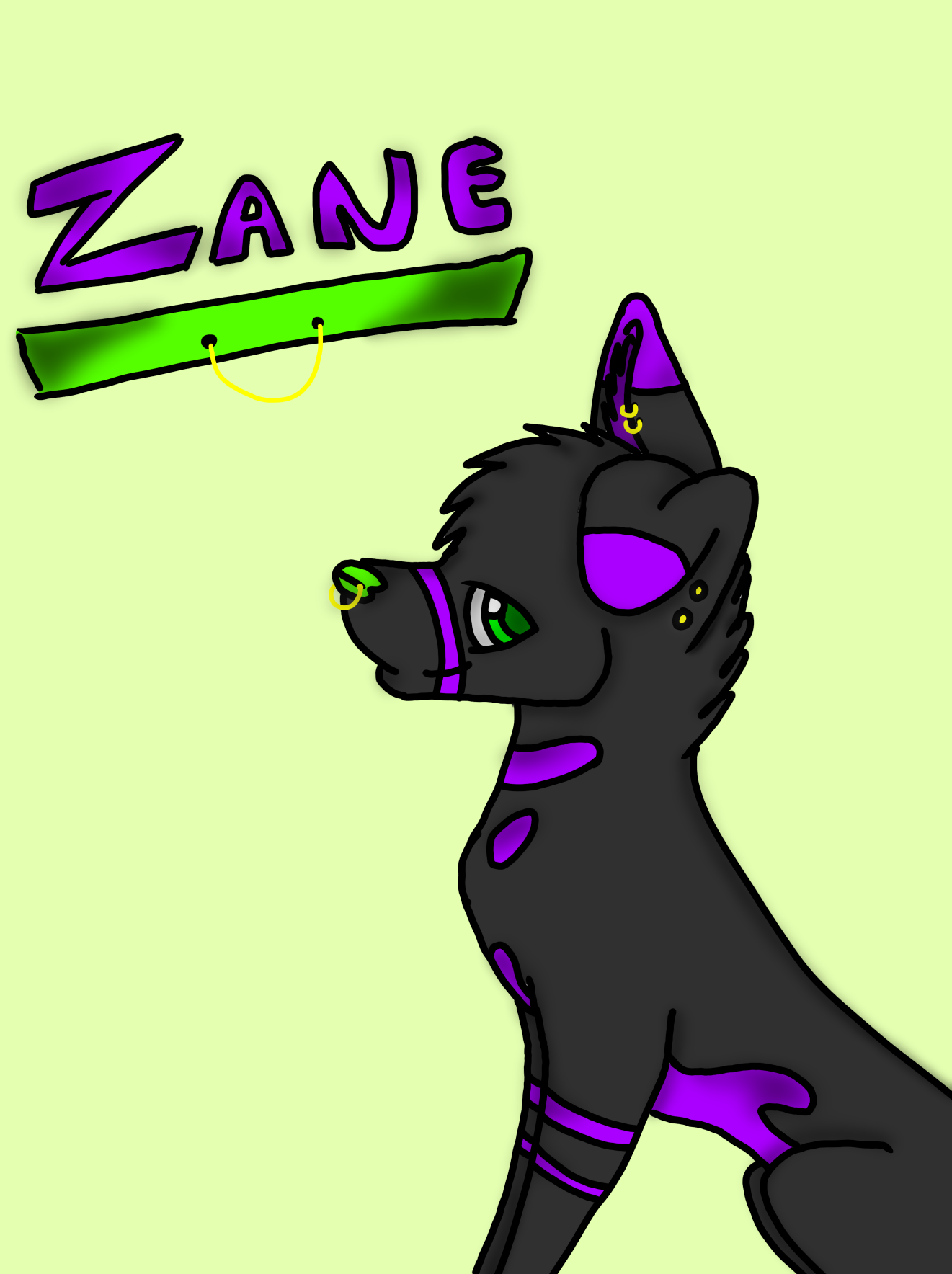 zane - ibisPaint