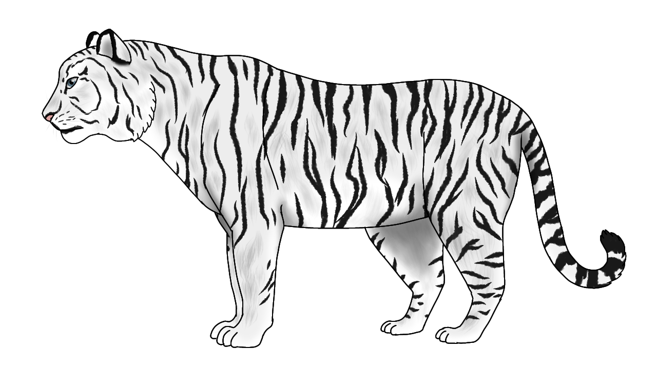 White Bengal Tiger - ibisPaint