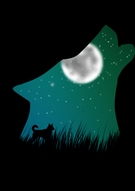 midnight sky - ibisPaint