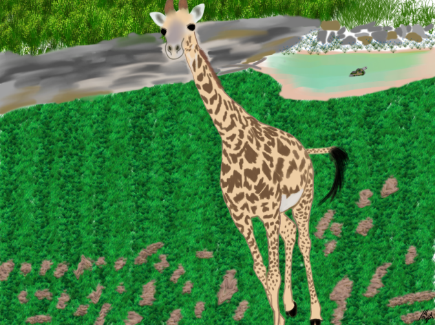 baby giraffe - ibisPaint