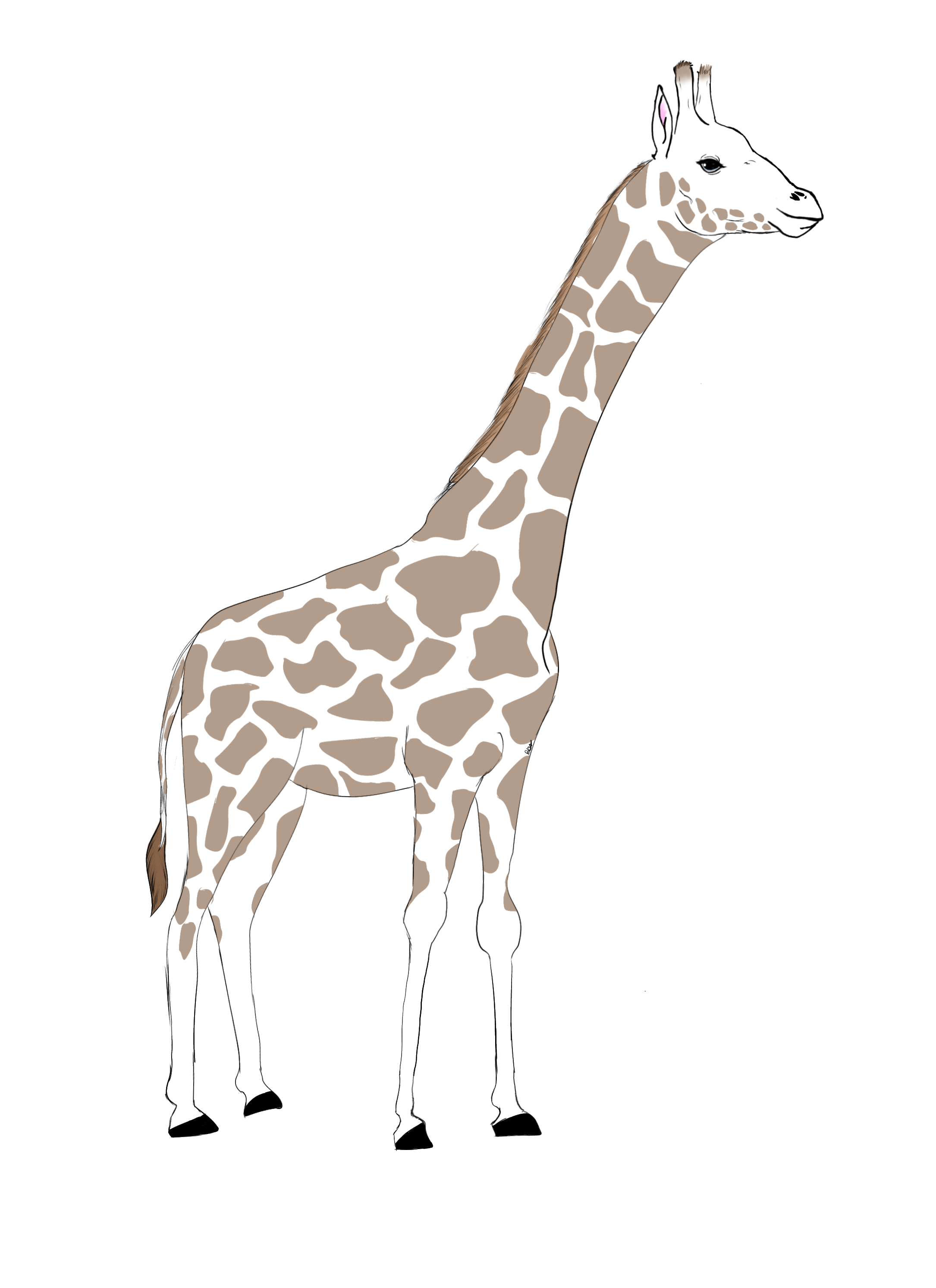 Giraffe 🦒 - ibisPaint