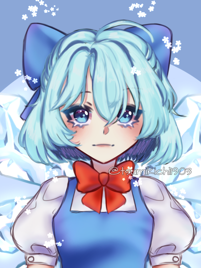 Cirno Day - ibisPaint