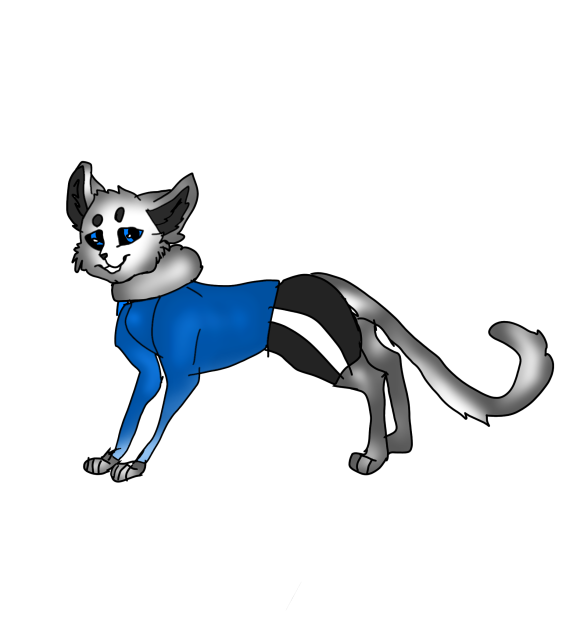 sans cat - ibisPaint