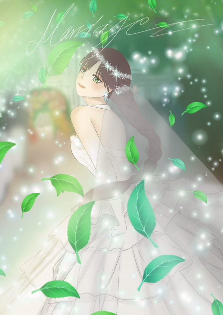 Bride - ibisPaint