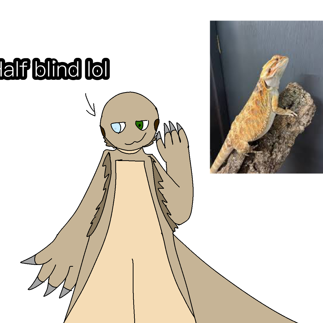 Bearded dragon themed oc lol - ibisPaint