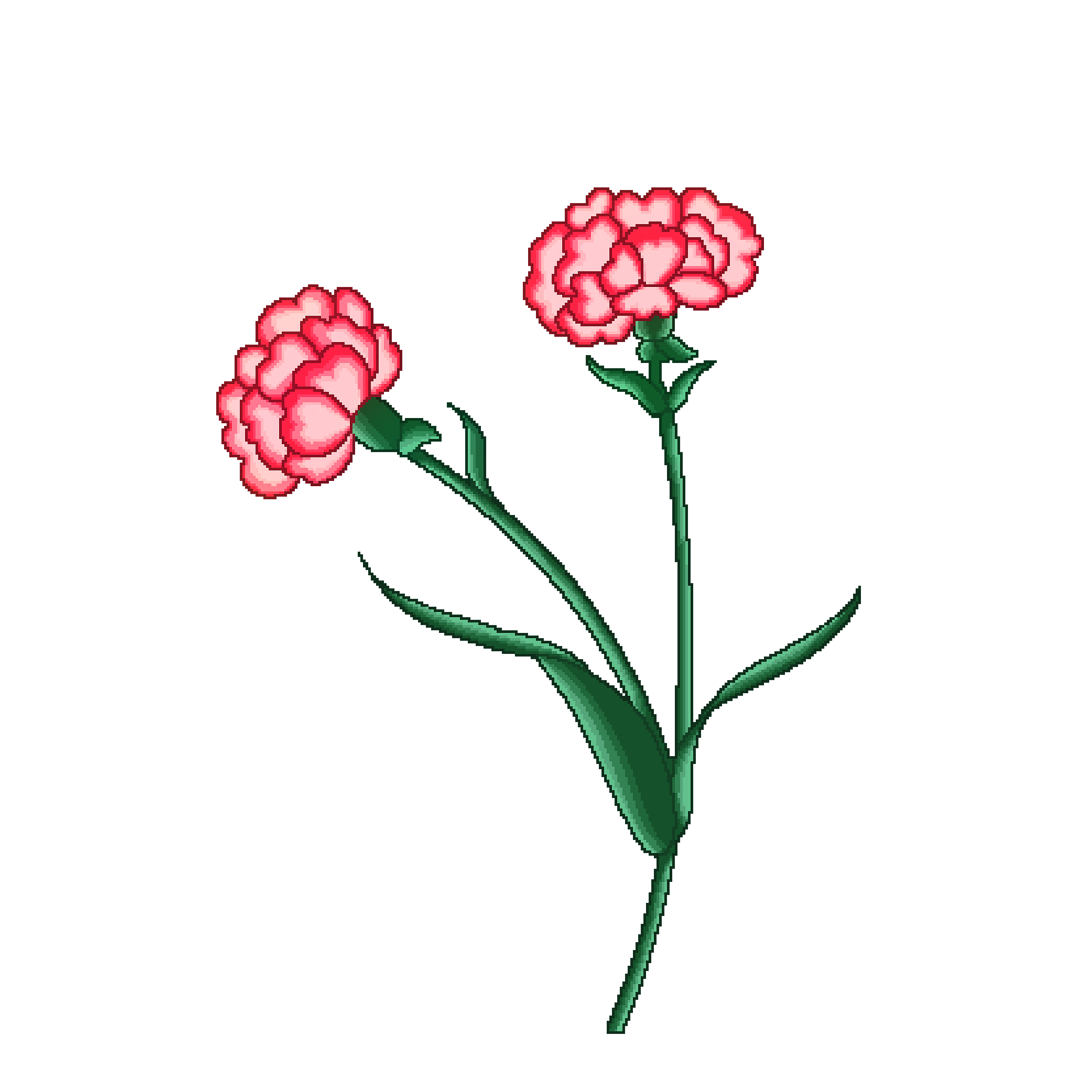 Carnation (pixel) - ibisPaint