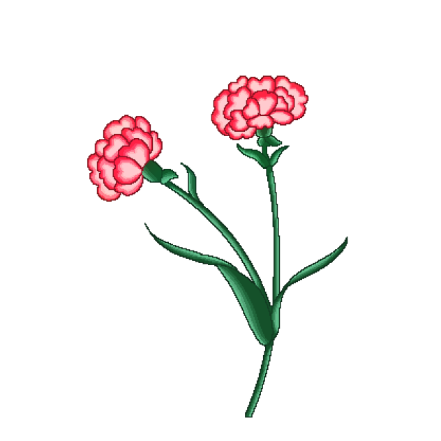 Carnation (pixel) - ibisPaint
