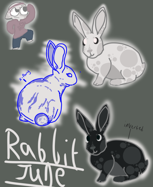 Ray-bunny - ibisPaint
