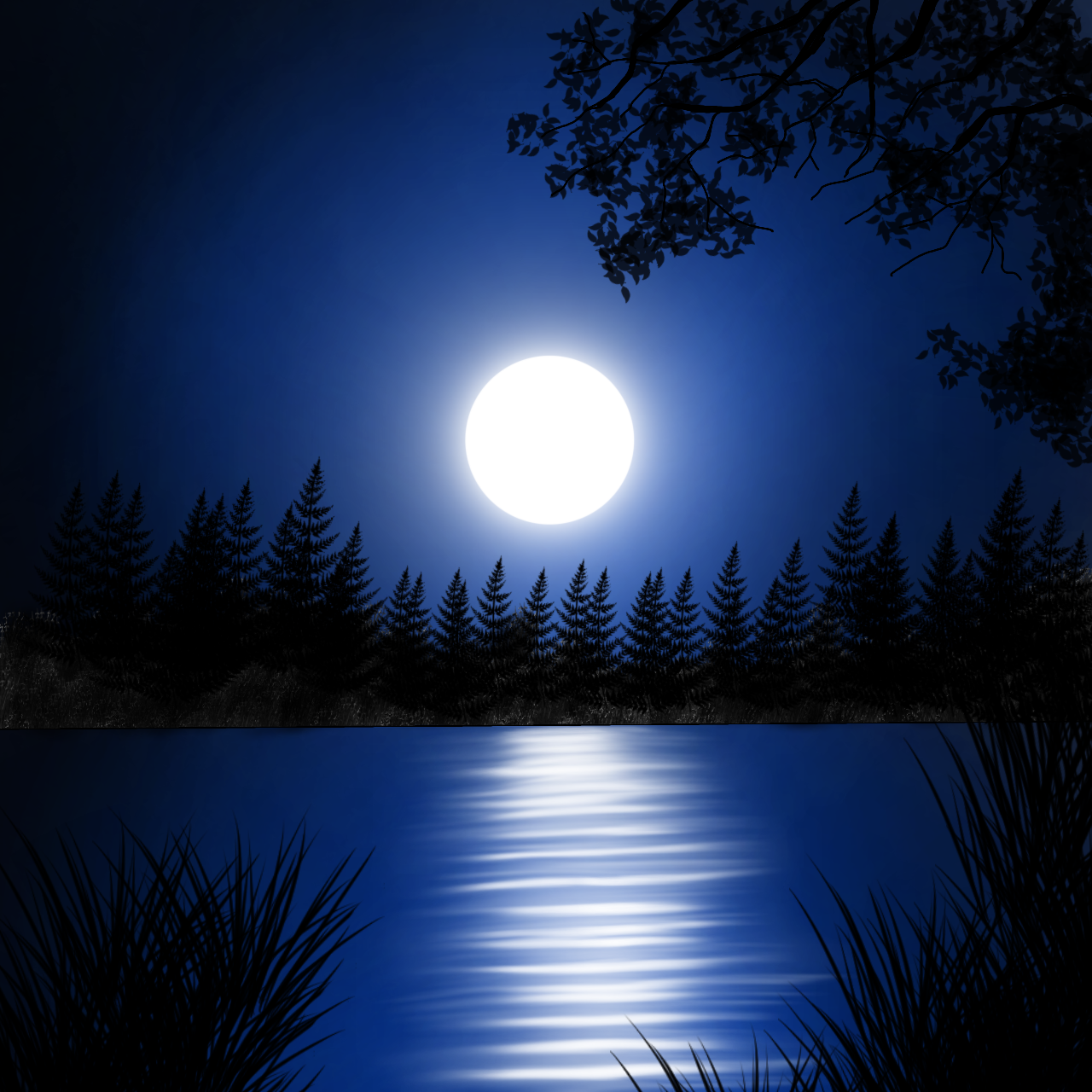 Moonlight Scenery - ibisPaint