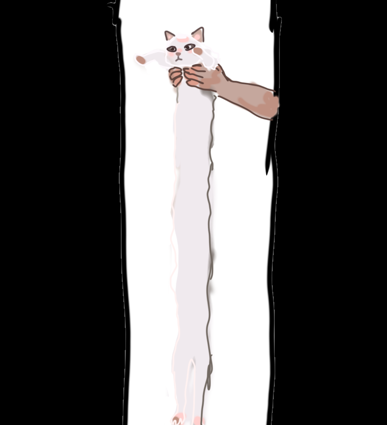 Logan cat - ibisPaint