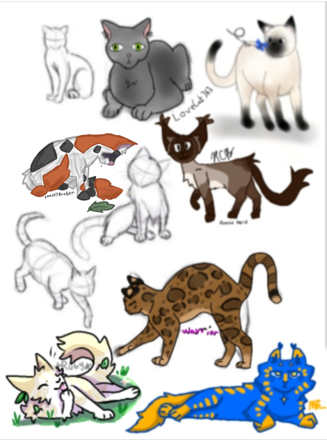 Warrior Cats Collab! - ibisPaint