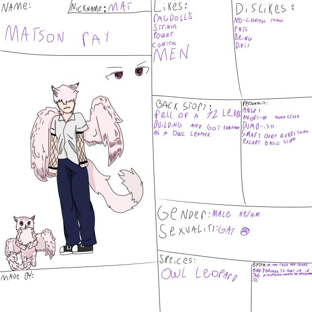 Owl leopard sigma rizz - ibisPaint