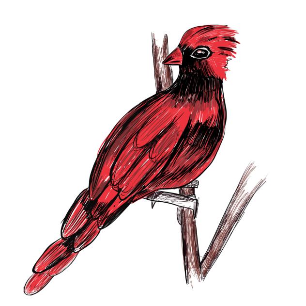 Bird - ibisPaint