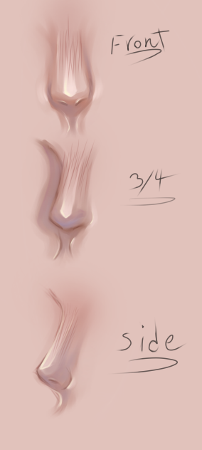 Nose practice - ibisPaint