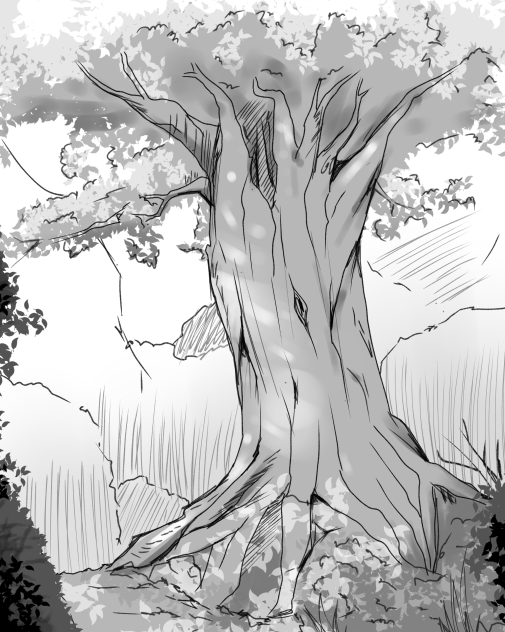 Big Tree - ibisPaint