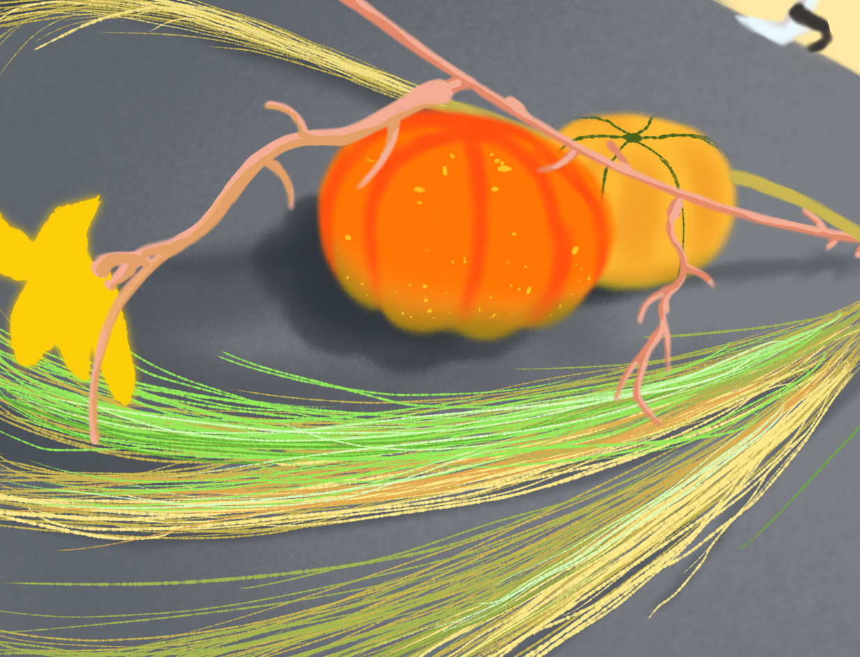 Mavis Burgin Pumpkin IbisPaint - ibisPaint