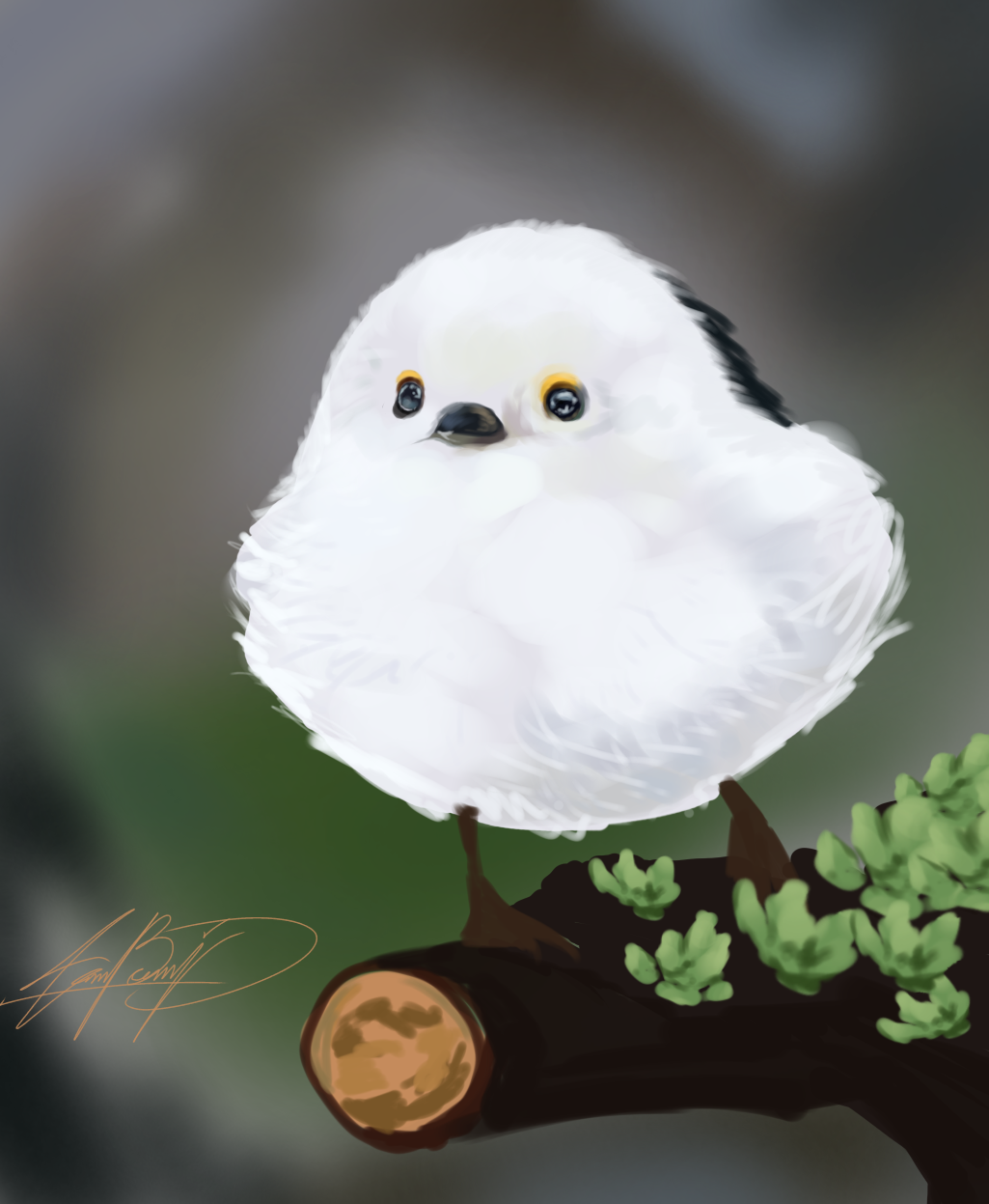 Chunky bird - ibisPaint