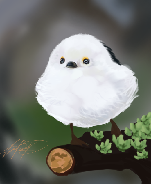 Chunky bird - ibisPaint