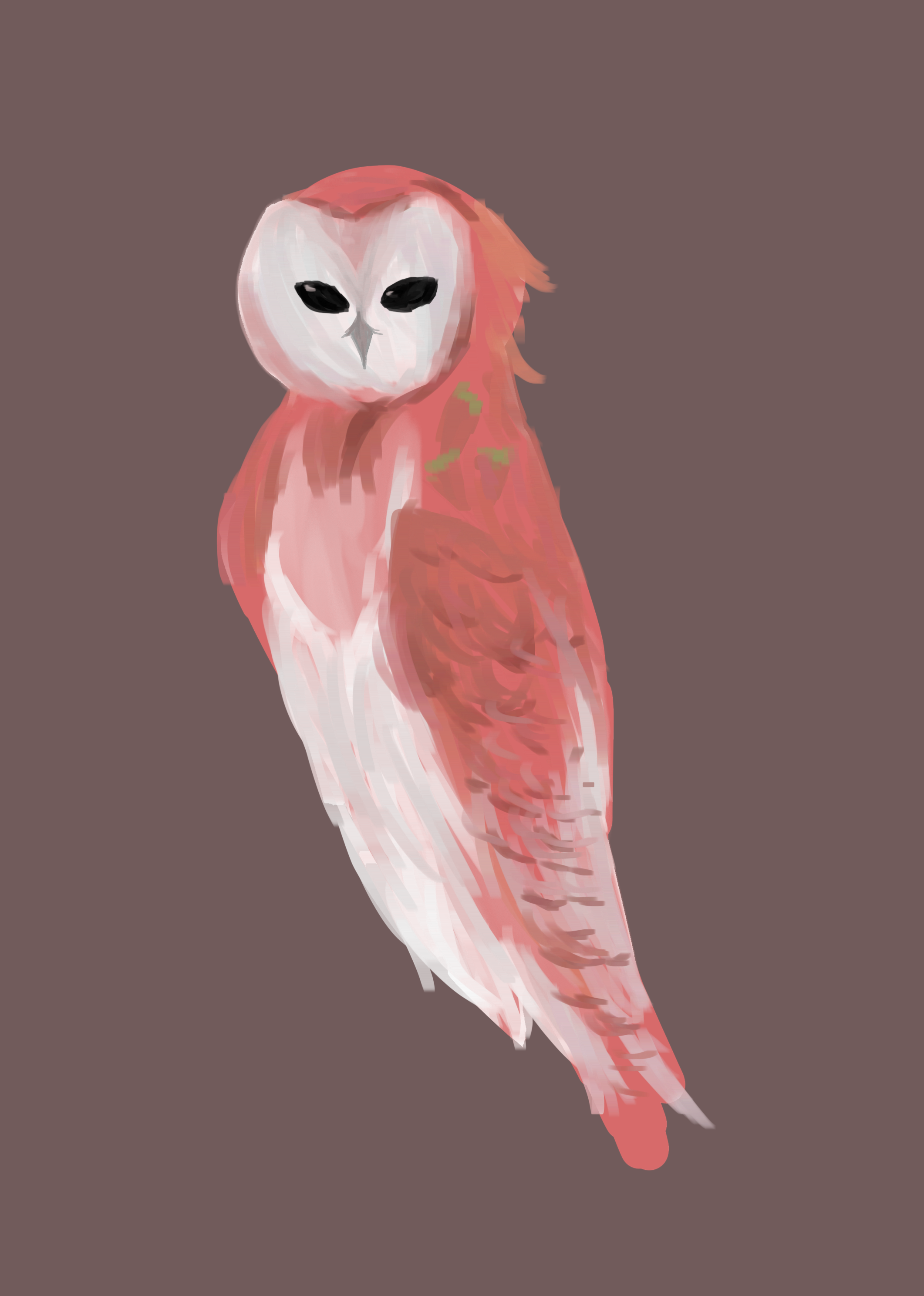 ^ Strawberry Barn Owl ^ - ibisPaint