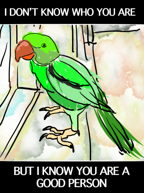 A Parrot - ibisPaint