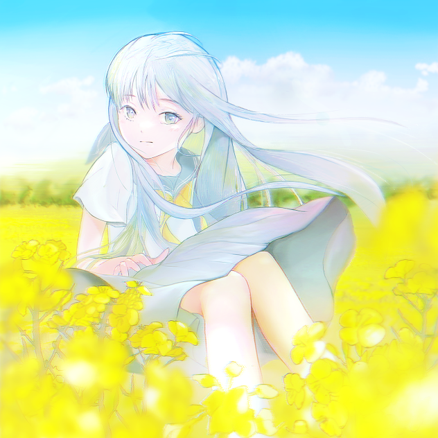 Canola field - ibisPaint