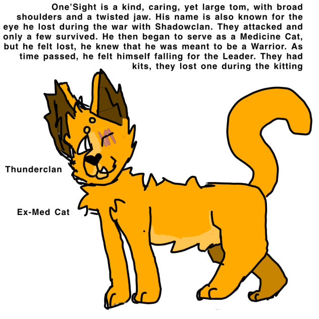 My Warrior’s oc! - ibisPaint