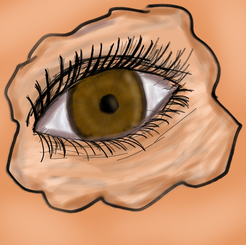 Art study eye - ibisPaint