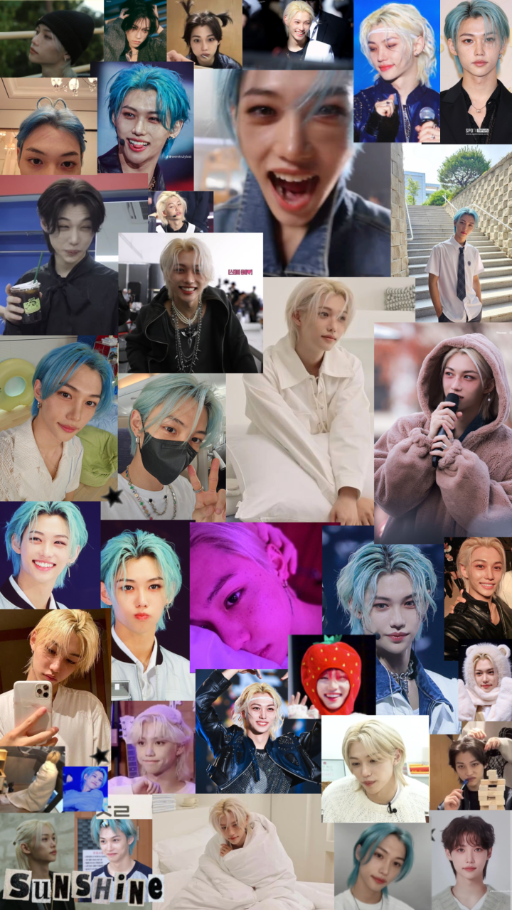 Felix collage - ibisPaint