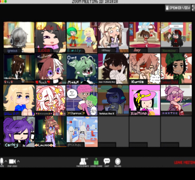 Video call - ibisPaint