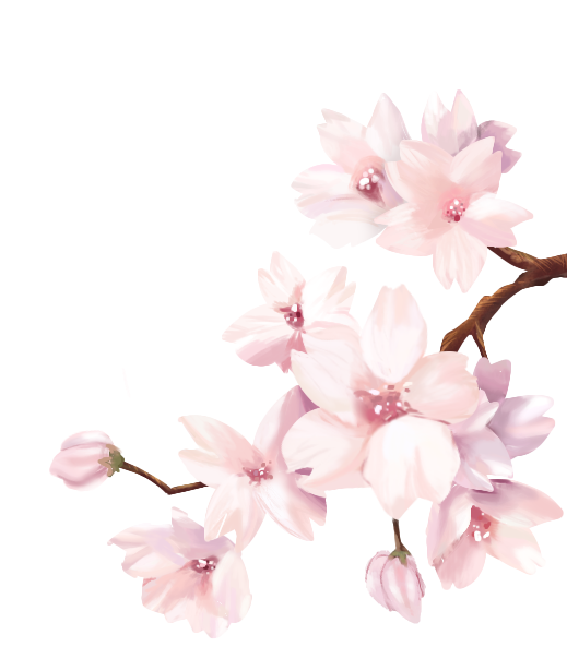 Sakura 🌸 v2 - ibisPaint