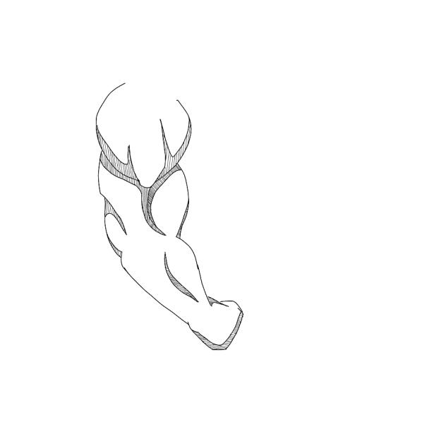Arm 💪 - ibisPaint