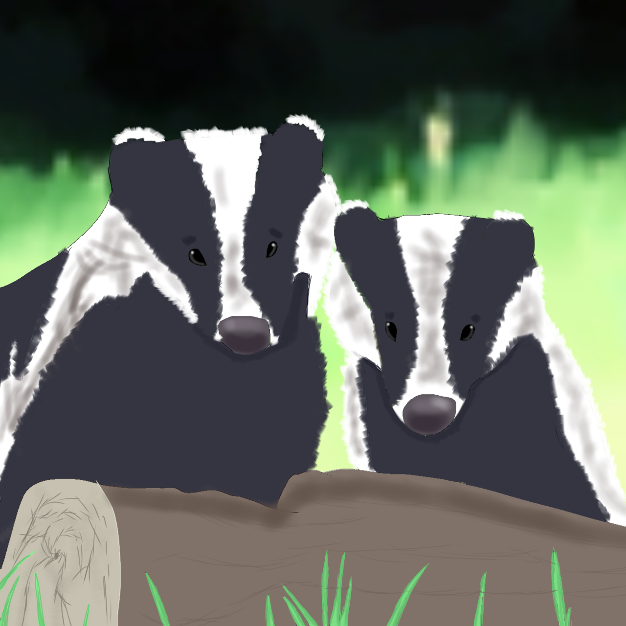 Badgers - ibisPaint