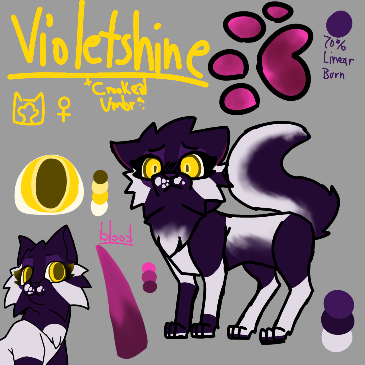 Violetshine ref sheet - ibisPaint