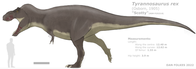 Tyrannosaurus rex - ibisPaint