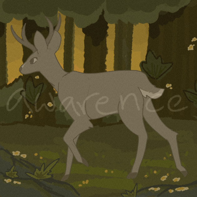 deer - ibisPaint