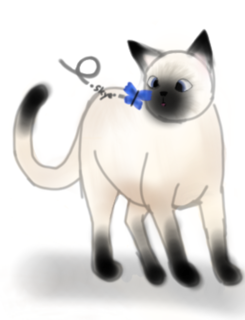 🌙lil kitty 🌙 - ibisPaint