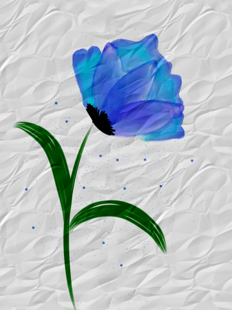 Watercolor flower - ibisPaint