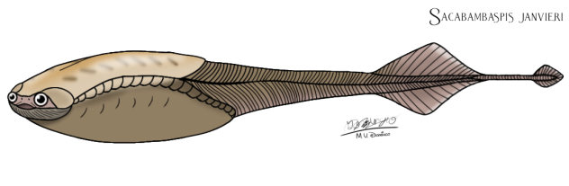 Sacabambaspis janvieri - ibisPaint